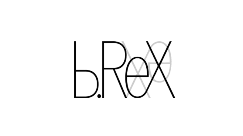 b.ReX GmbH